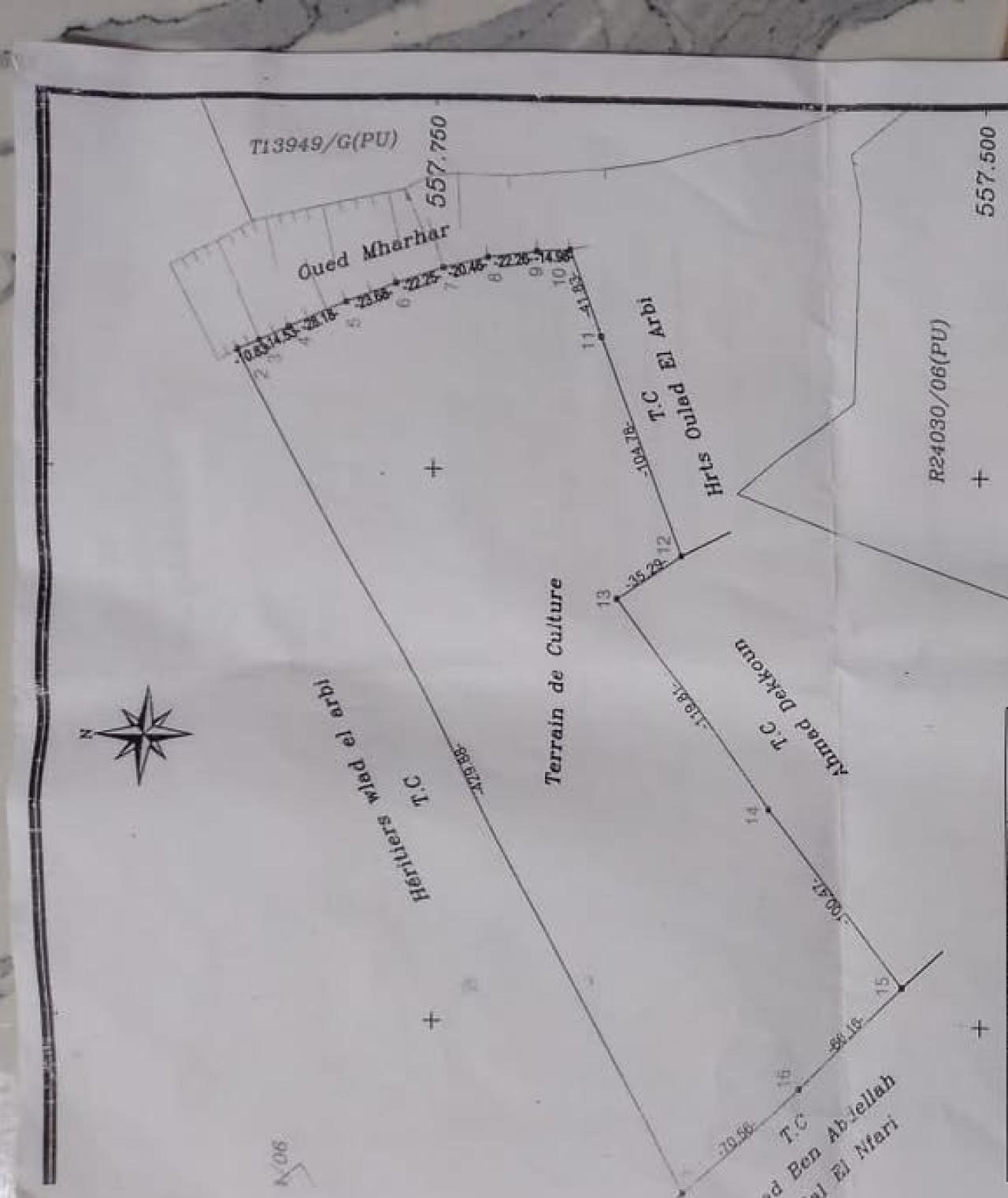 Vente terrain Tanger - 50000m² - 1250000 DH